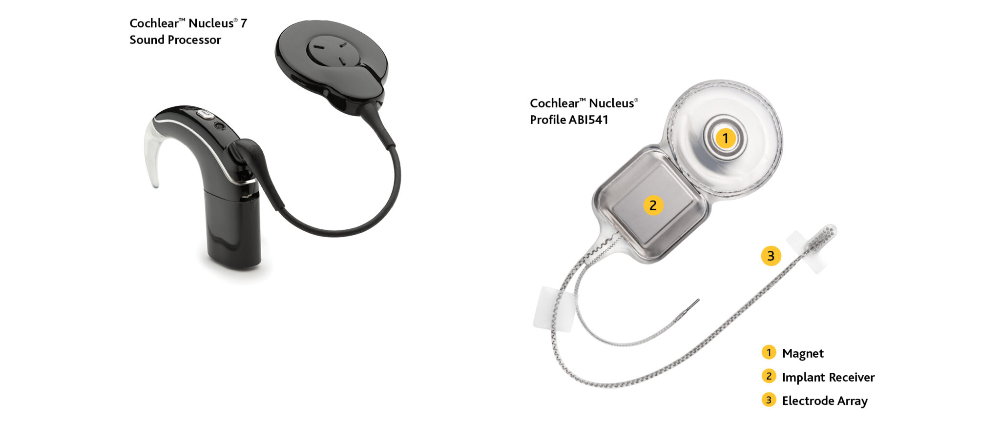 NF2 patients see benefit from auditory brainstem implant ...